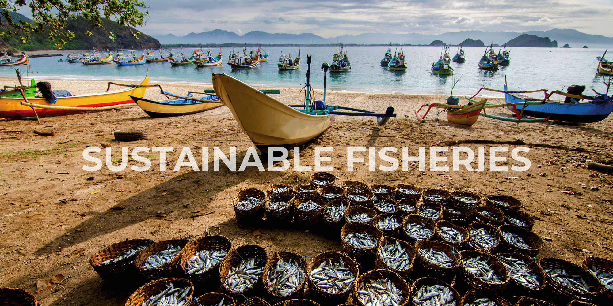 Sustainable Fisheries